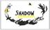 OPEN THIS LITTLE BOOK by Jesse Klausmeier , Suzy Lee | Kirkus Reviews