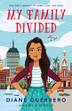 AMERICANIZED by Sara Saedi | Kirkus Reviews