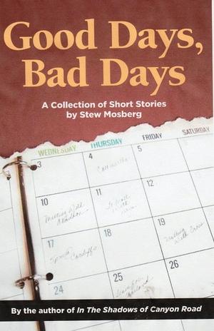 GOOD DAYS, BAD DAYS | Kirkus Reviews